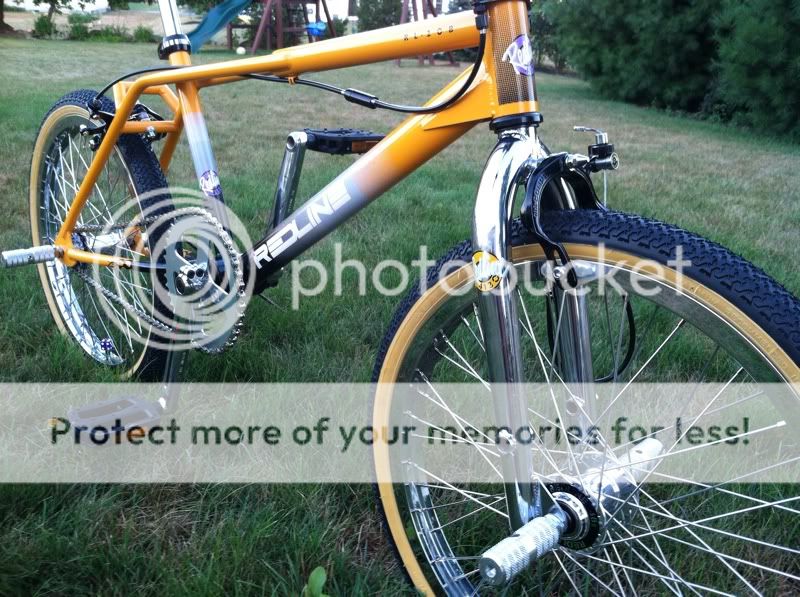 BMXmuseum.com For Sale / Custom 1988 Redline RL20B